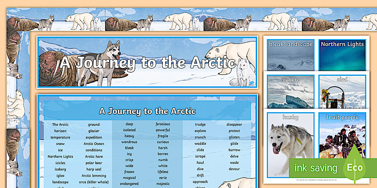 A Journey to the Arctic Display Pack (teacher made) - Twinkl