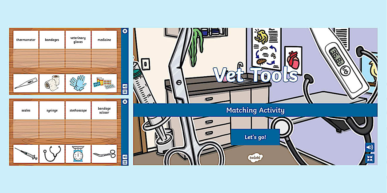 Vet Tools Interactive Matching Game (Hecho por educadores) Vet Tools Interactive Matching Game (Hecho por educadores)