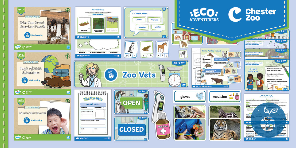 FREE! - EYFS Biodiversity: Animals (teacher made) - Twinkl