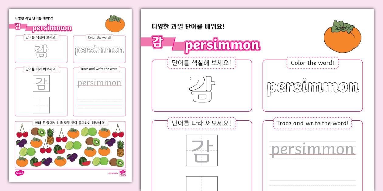 한글과 영어 동시에 완성하기 | 과일 | 감 | Fruits Persimmon Tracing Activity (Korean