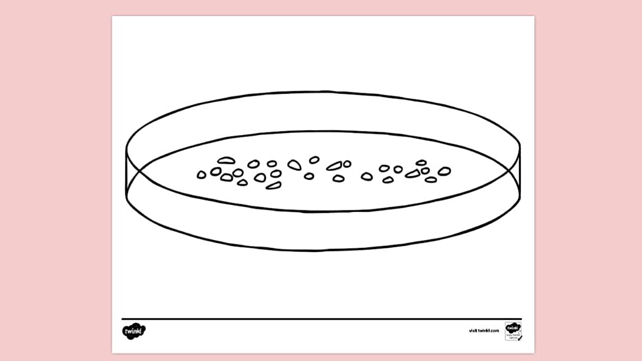 Sugar Solution Evaporated Colouring | Colouring Sheets