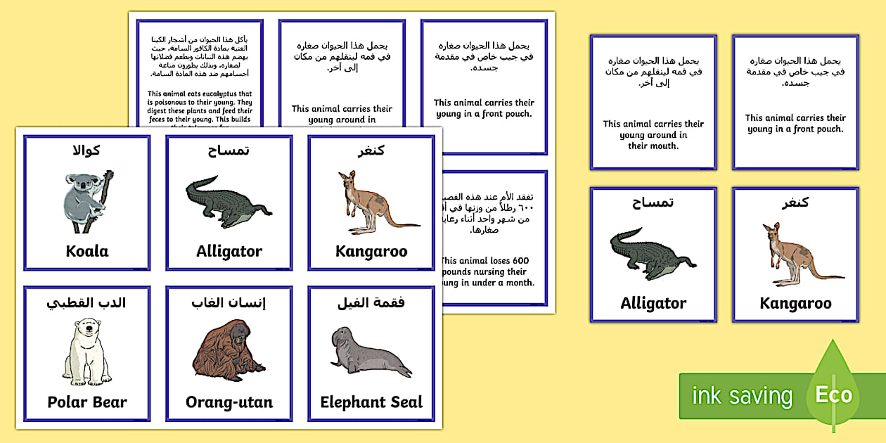 Incredible Mother Animals Matching Cards Arabic/English