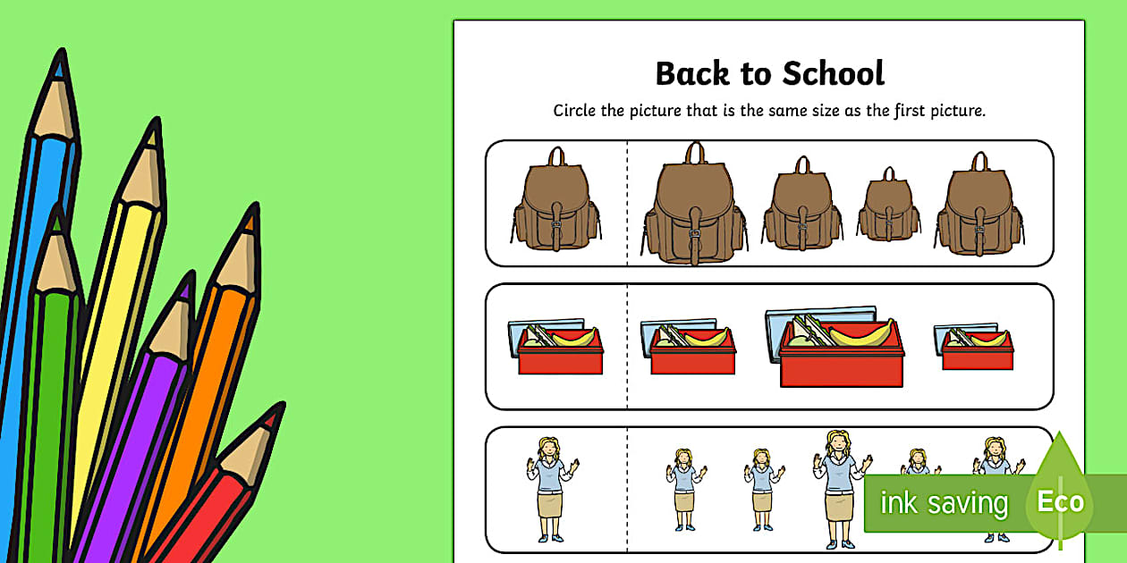 Back to School Themed Size Matching Worksheet / Worksheet