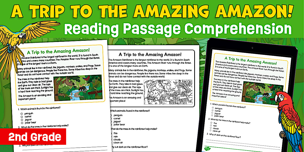 Amazing Amazon! Reading Passage Comprehension Worksheet