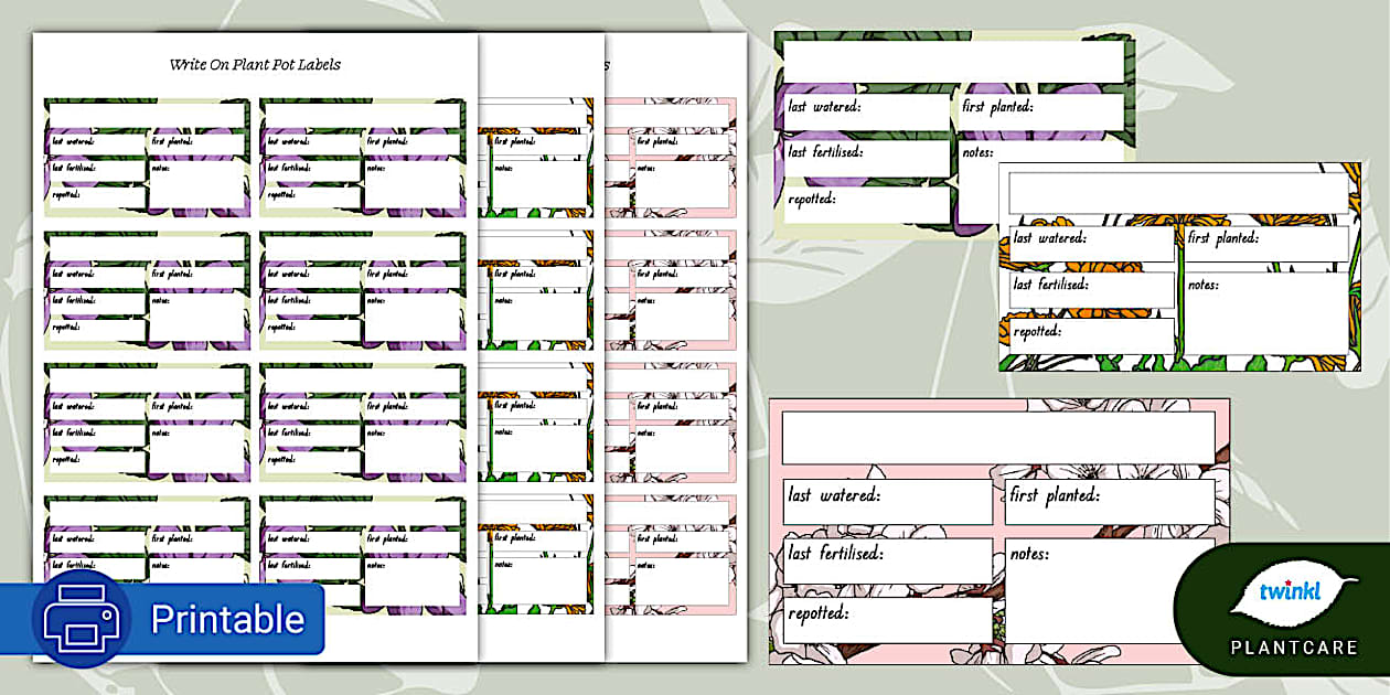 Printable Write-On Plant Pot Labels (teacher made) - Twinkl