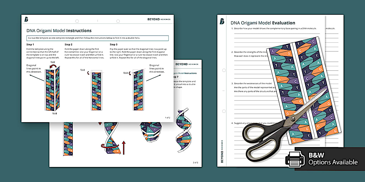 Origami DNA | GCSE Science | Beyond Secondary (teacher made)