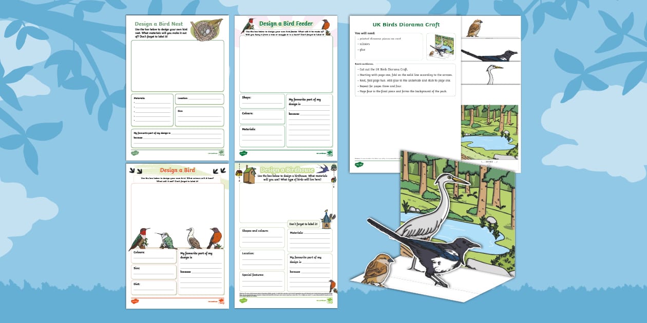 KS1 Bird Design and Craft Activities Pack (Teacher-Made)