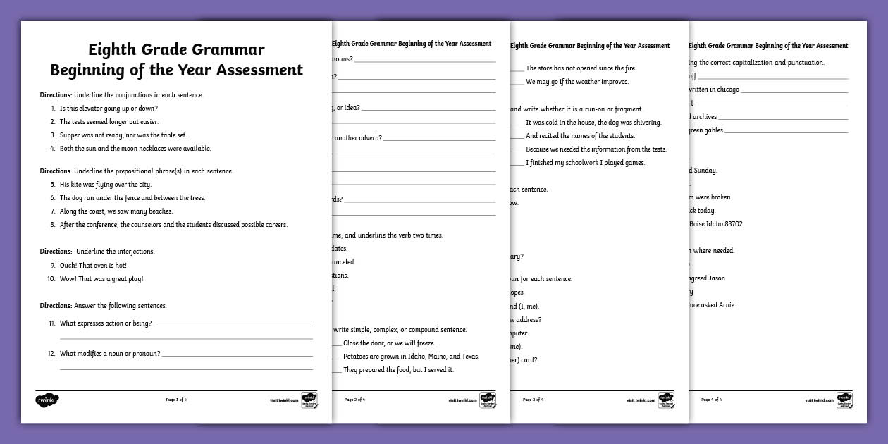 Eighth Grade Beginning of the Year ELA Grammar Assessment