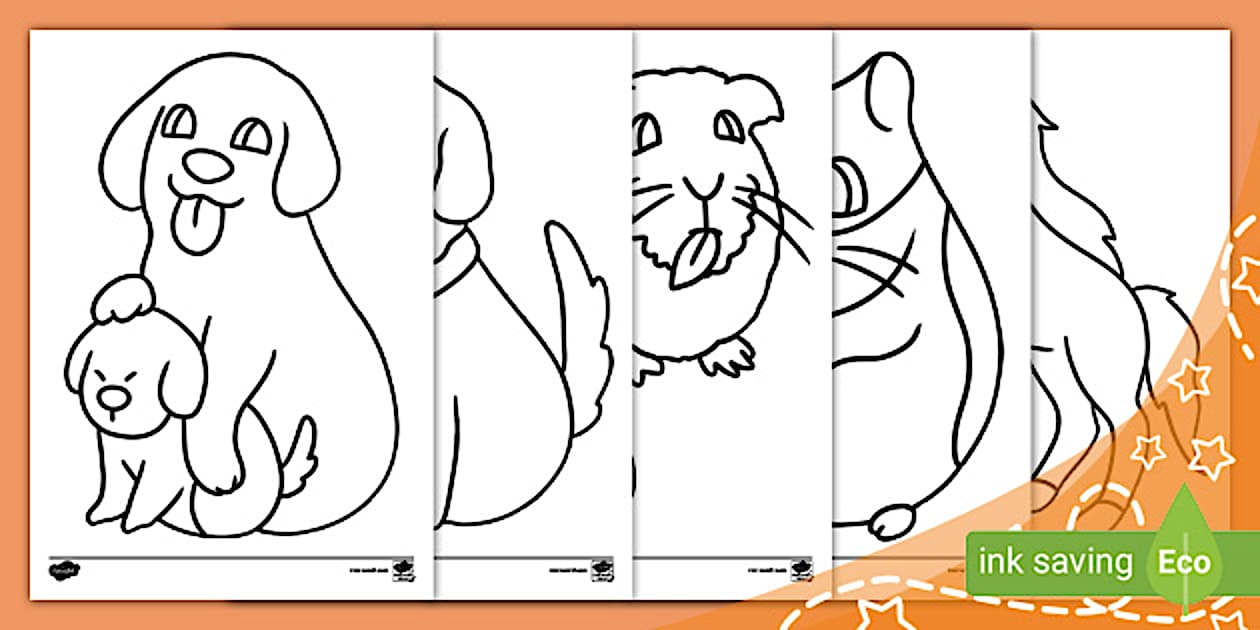 FREE! - My First Pet Colouring Pack (teacher made) - Twinkl