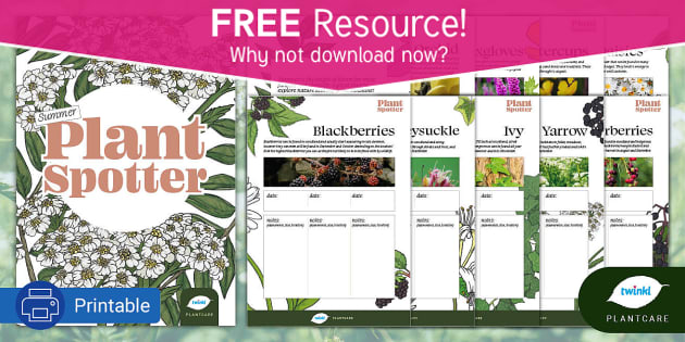 FREE! - Summer Plant Spotter Booklet, Foraging Tracker, Wild flowers