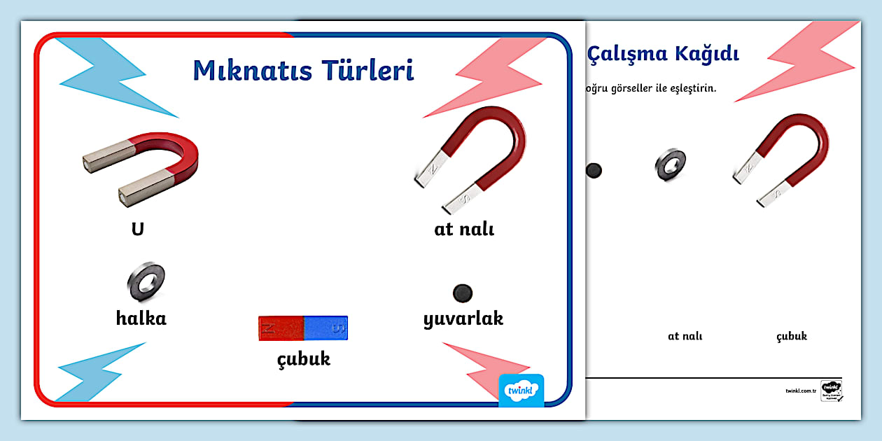 Mıknatıs Türleri | Poster ve Etkinlik - Twinkl