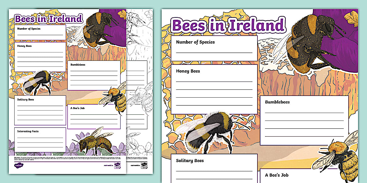 Bees in Ireland Fact File Template (teacher made) - Twinkl
