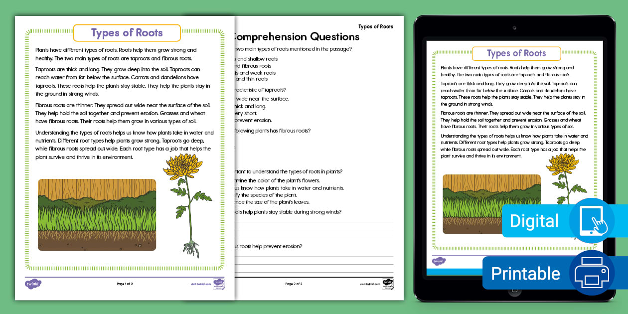 Second Grade Types of Roots Reading Comprehension Worksheet