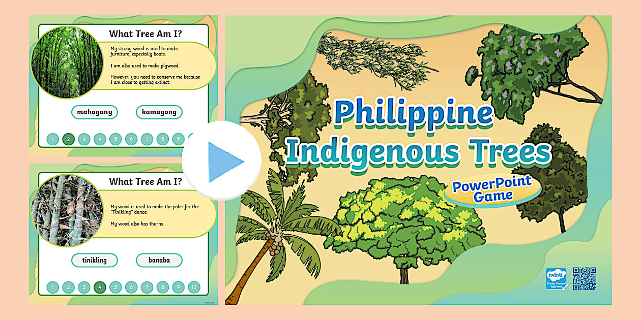 Philippine Indigenous Trees Game | Grade 1 | Twinkl - Twinkl