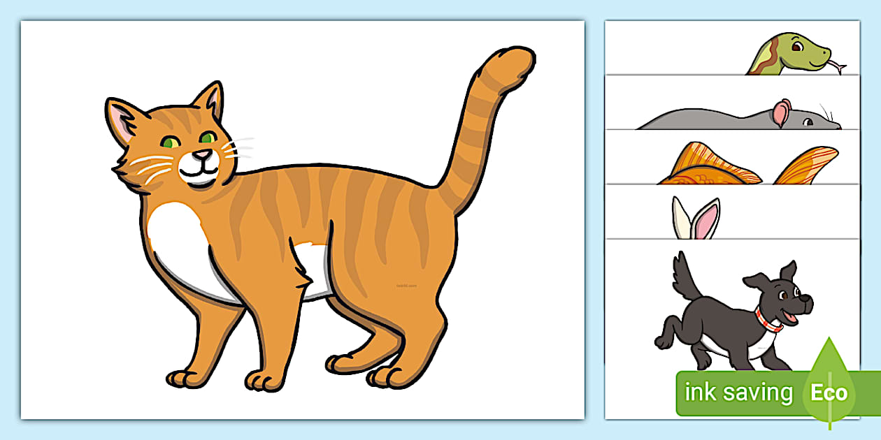 Pets Display Cut-Outs - Animals - KS1 (teacher made)
