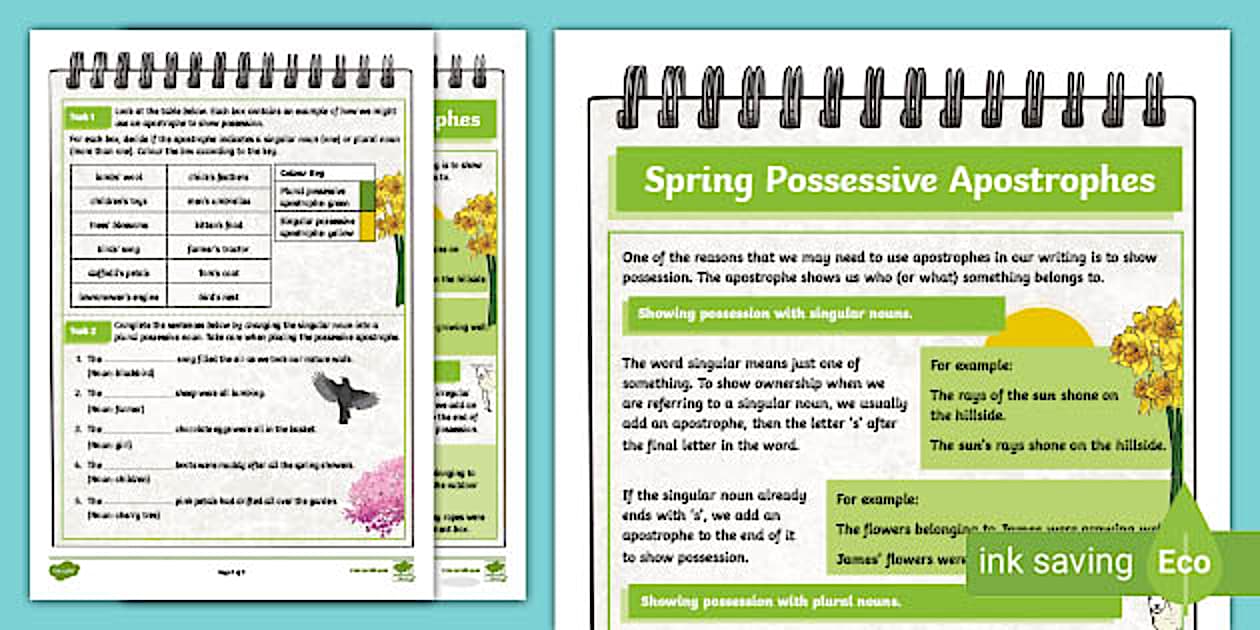 Spring Possessive Apostrophes Activity (teacher made)