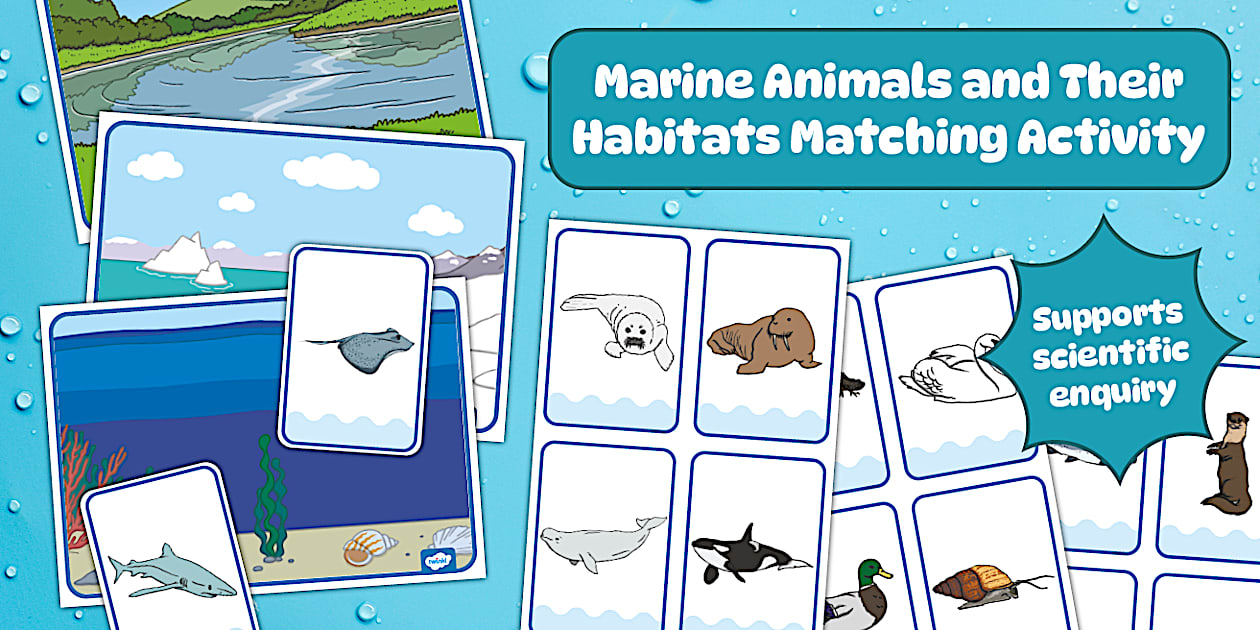 Marine Animals and Their Habitats Matching Activity