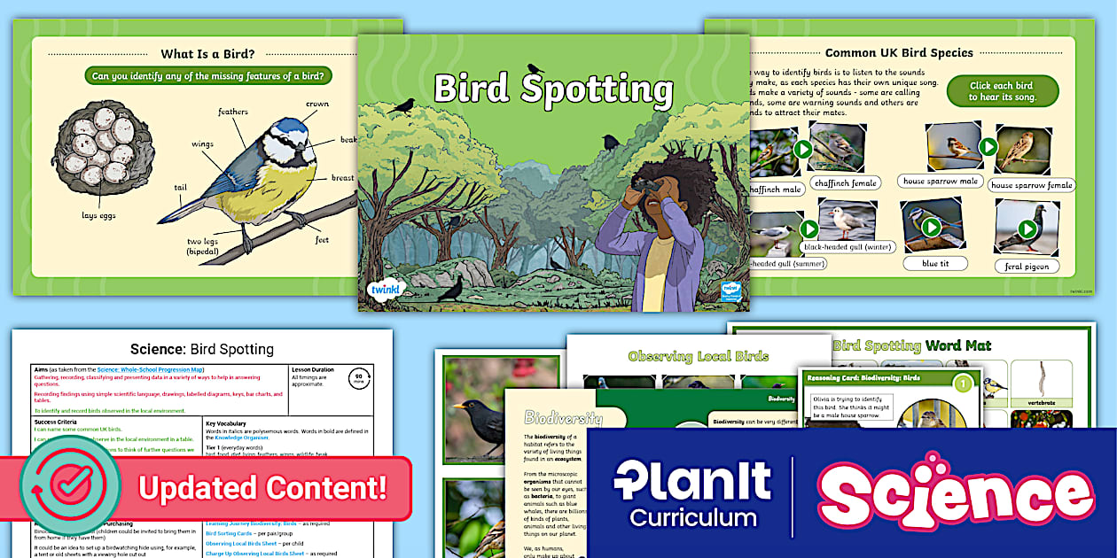 Science: Biodiversity: Birds: Bird Spotting Year 3 Lesson 1