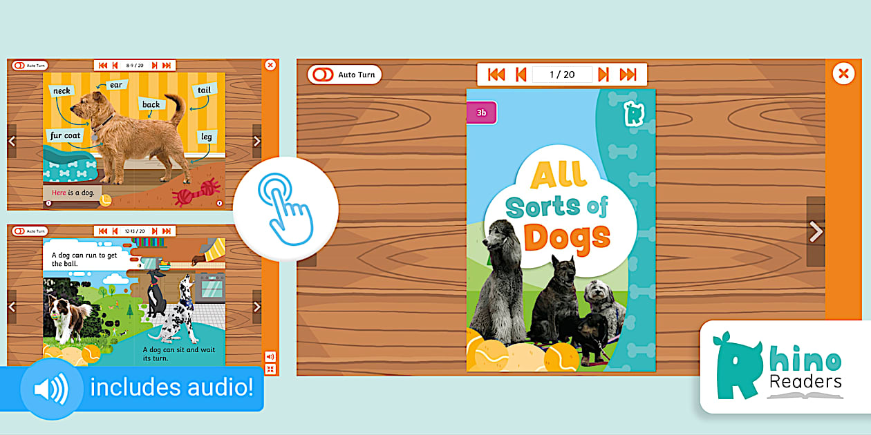 Level 3b Reading Scheme Book: All Sorts of Dogs - Twinkl