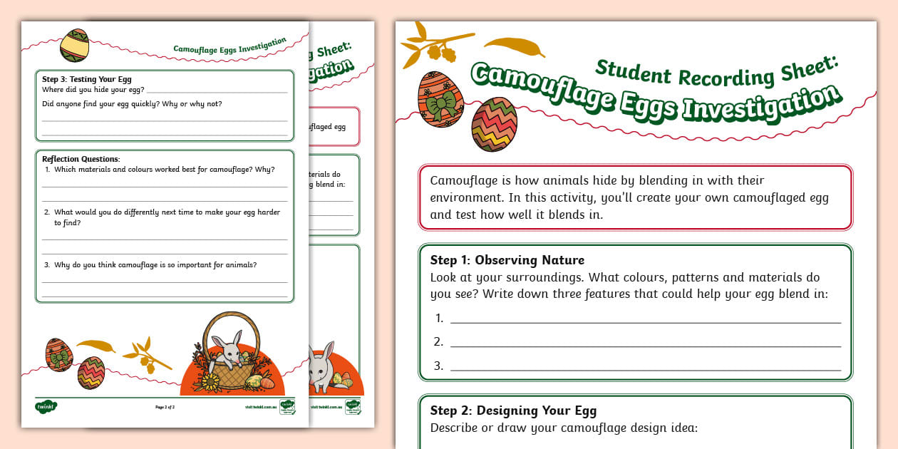 STEM Outdoors: Camouflage Eggs Investigation (teacher made)