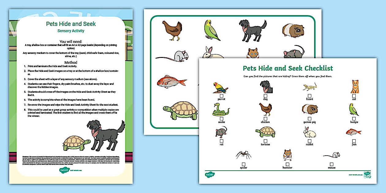 Pets 'Hide and Seek' Sensory Activity (teacher made)