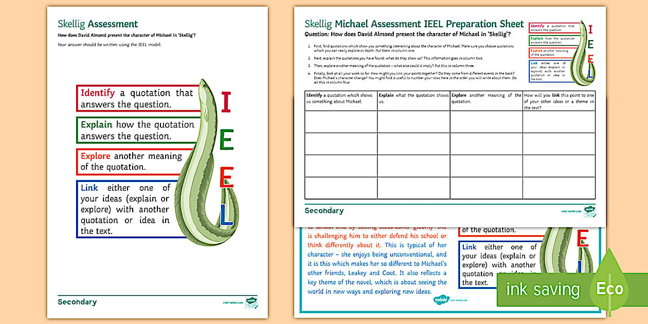 Skellig Assessment Resource Pack (teacher made) - Twinkl