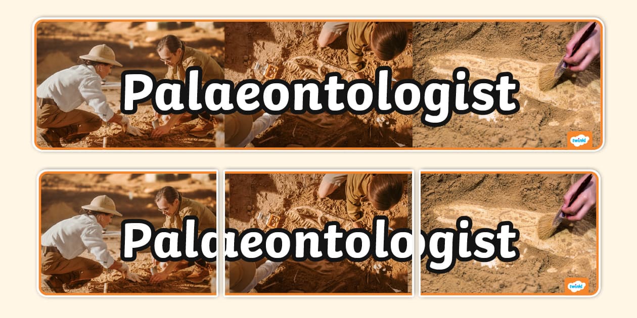 Palaeontologist Banner for Early Childhood Role Play