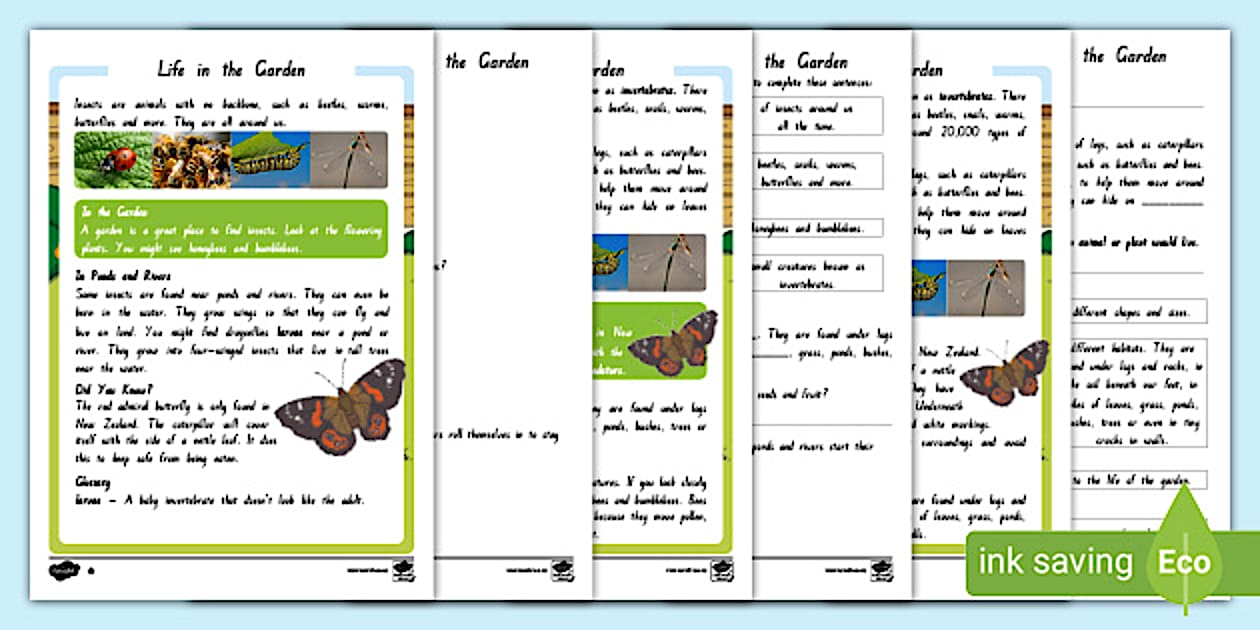 Life in the Garden Differentiated Reading Comprehension
