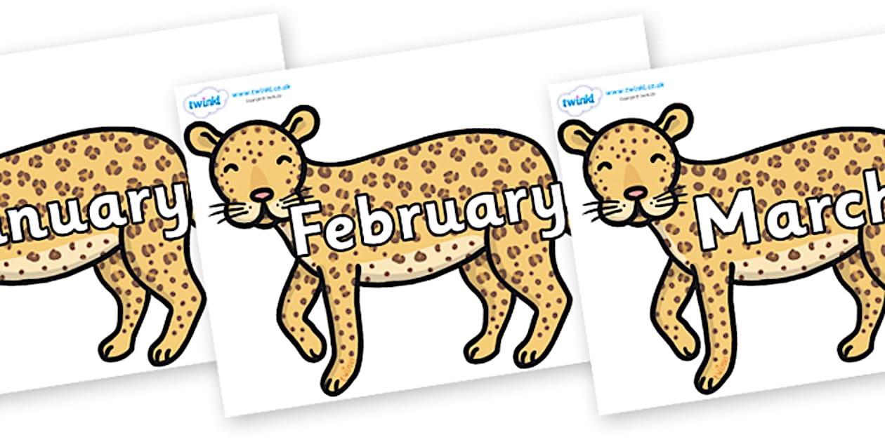Months of the Year on Leopards (teacher made) - Twinkl