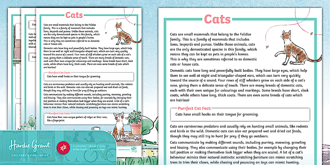 Cats Fact File and Activity Sheet (l'enseignant a fait)