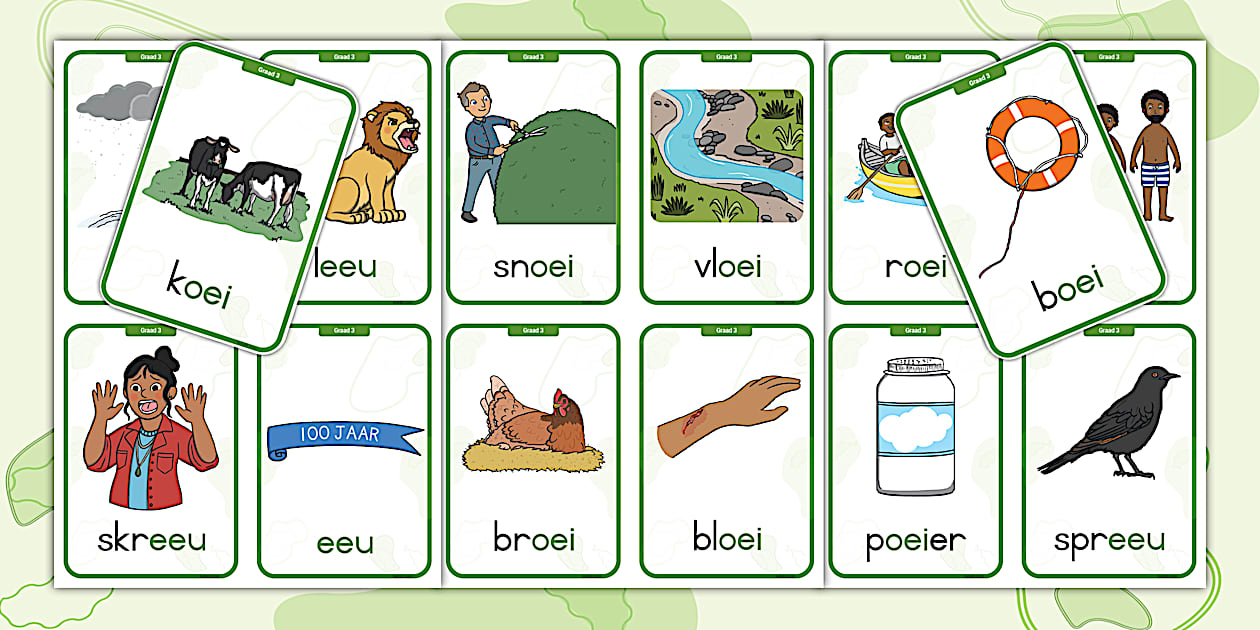 Graad 3 Klanke --eeu, -oei Flitskaarte (professor feito)