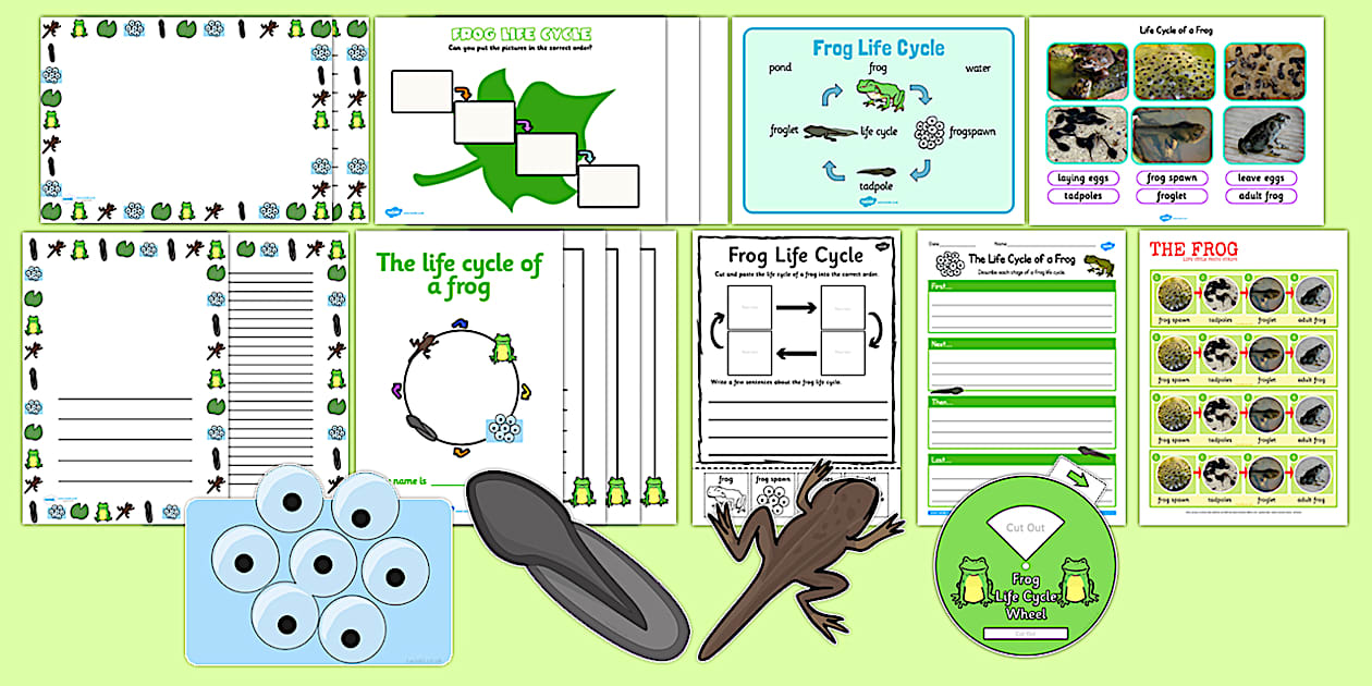 Frog Life Cycle Resource Pack | Save the Frogs Day - Twinkl