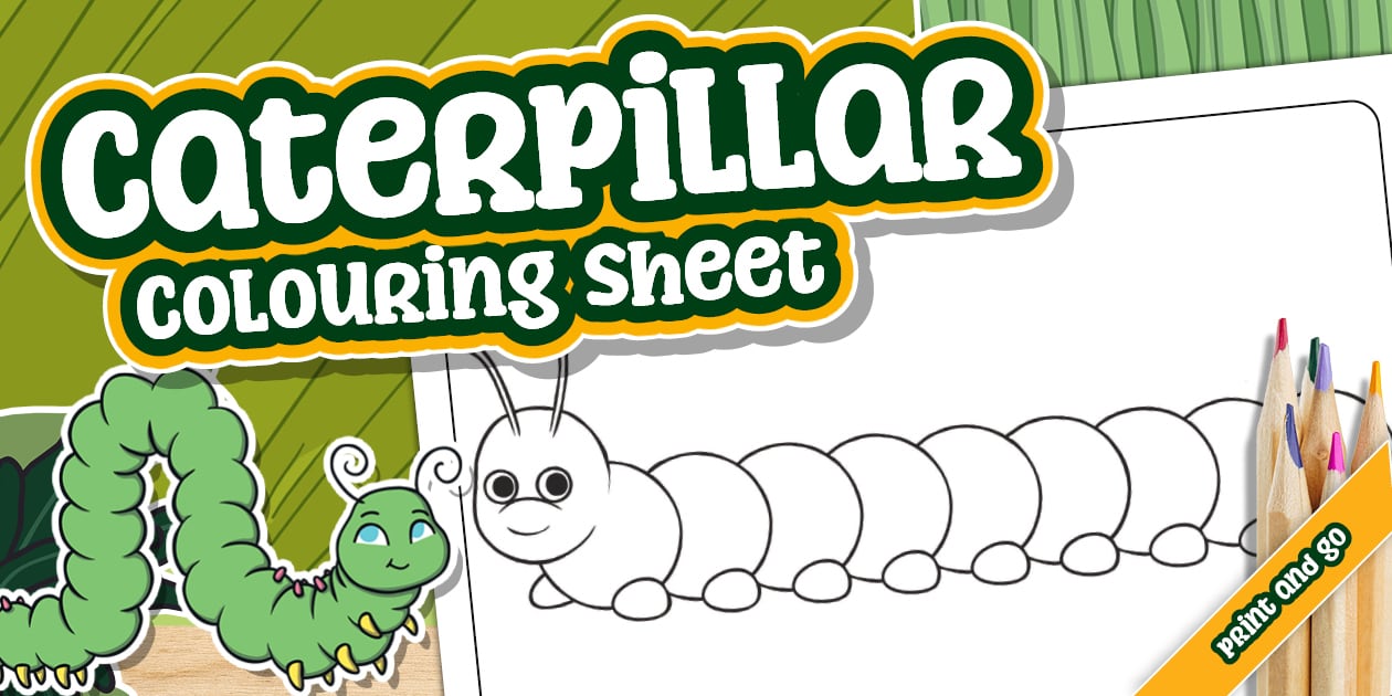 Caterpillar Colouring Sheet - Primary School - Twinkl
