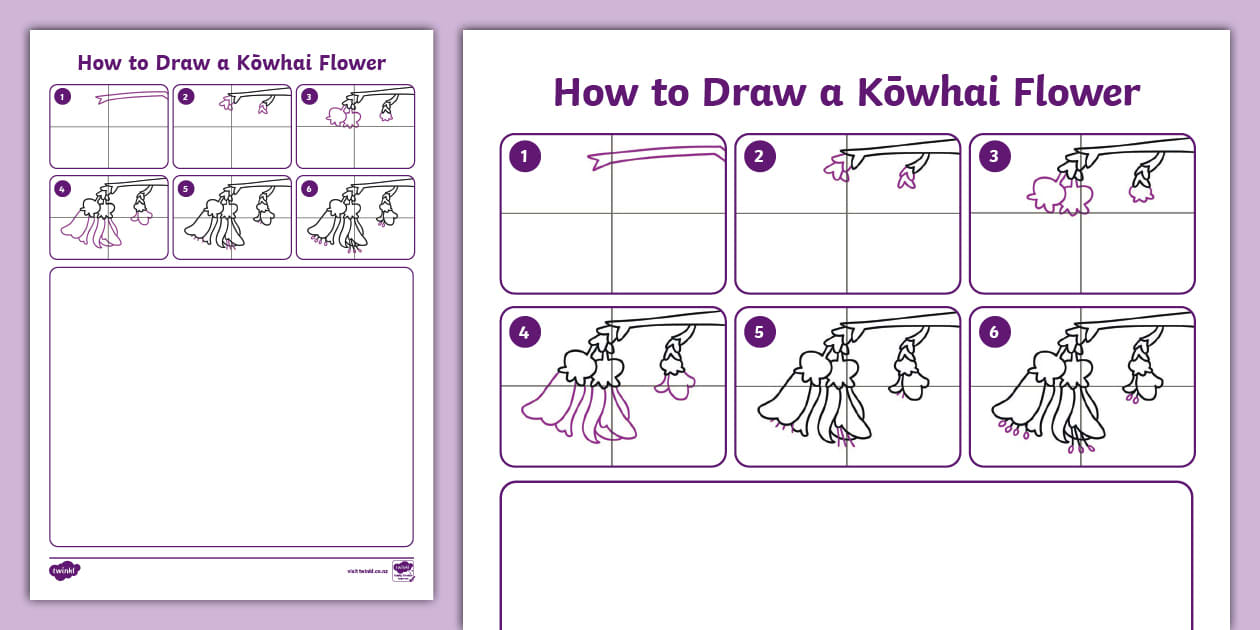 How to Draw a Kōwhai Flower