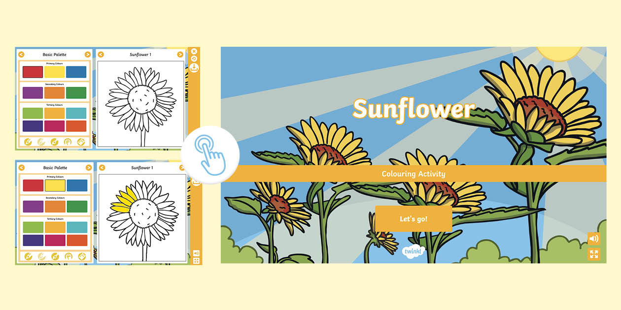 Sunflower Interactive Colouring (teacher made) - Twinkl