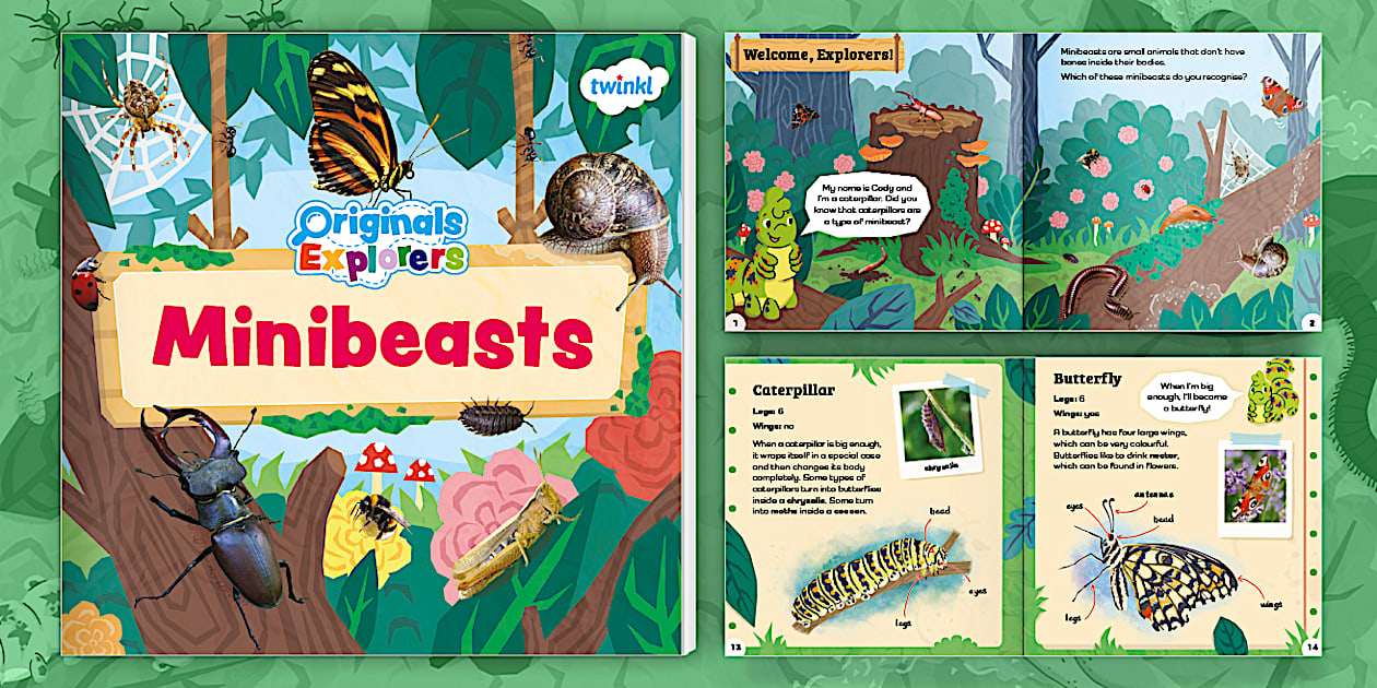 Originals Explorers: Minibeasts eBook (teacher made)