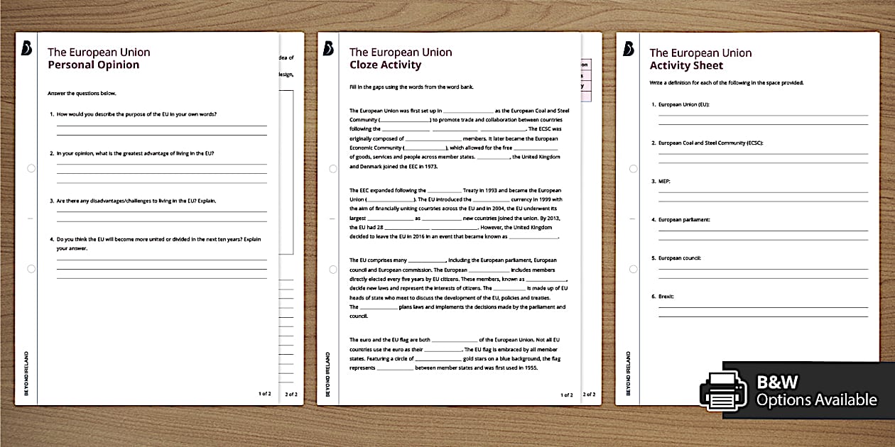 The History of the European Union Activity