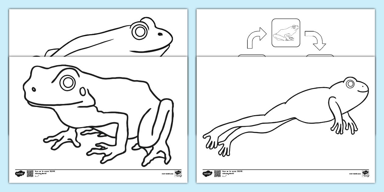 KS1 Frog Colouring Pages (teacher made) - Twinkl
