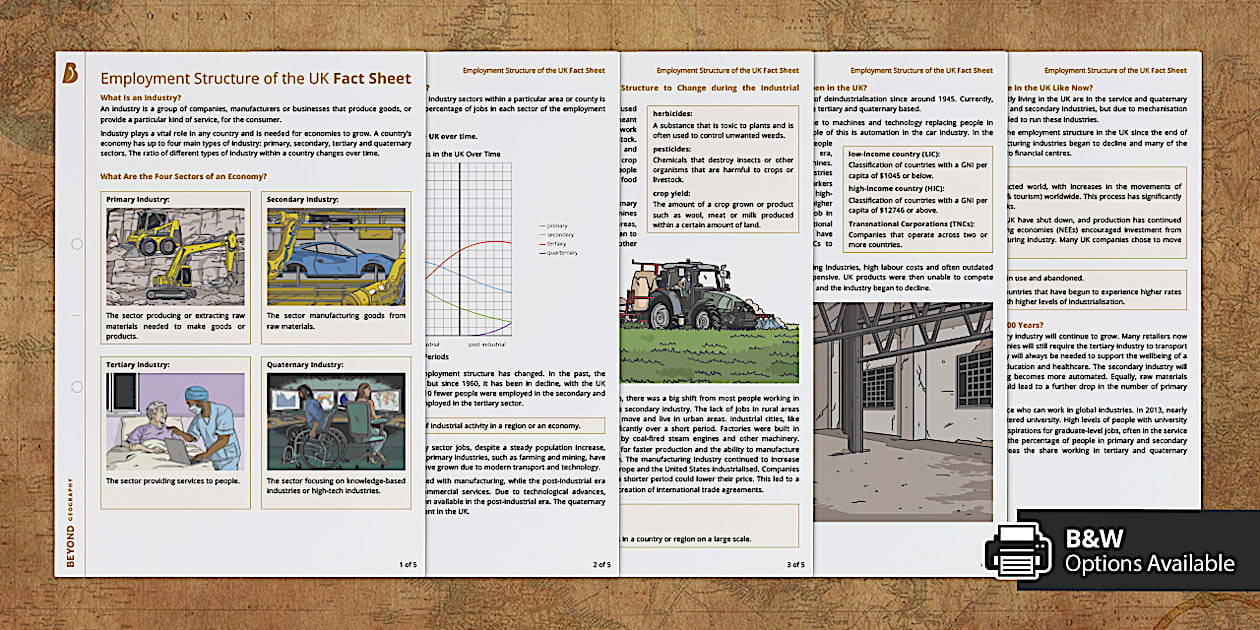 GCSE Employment Structure of the UK Fact Sheet | Beyond