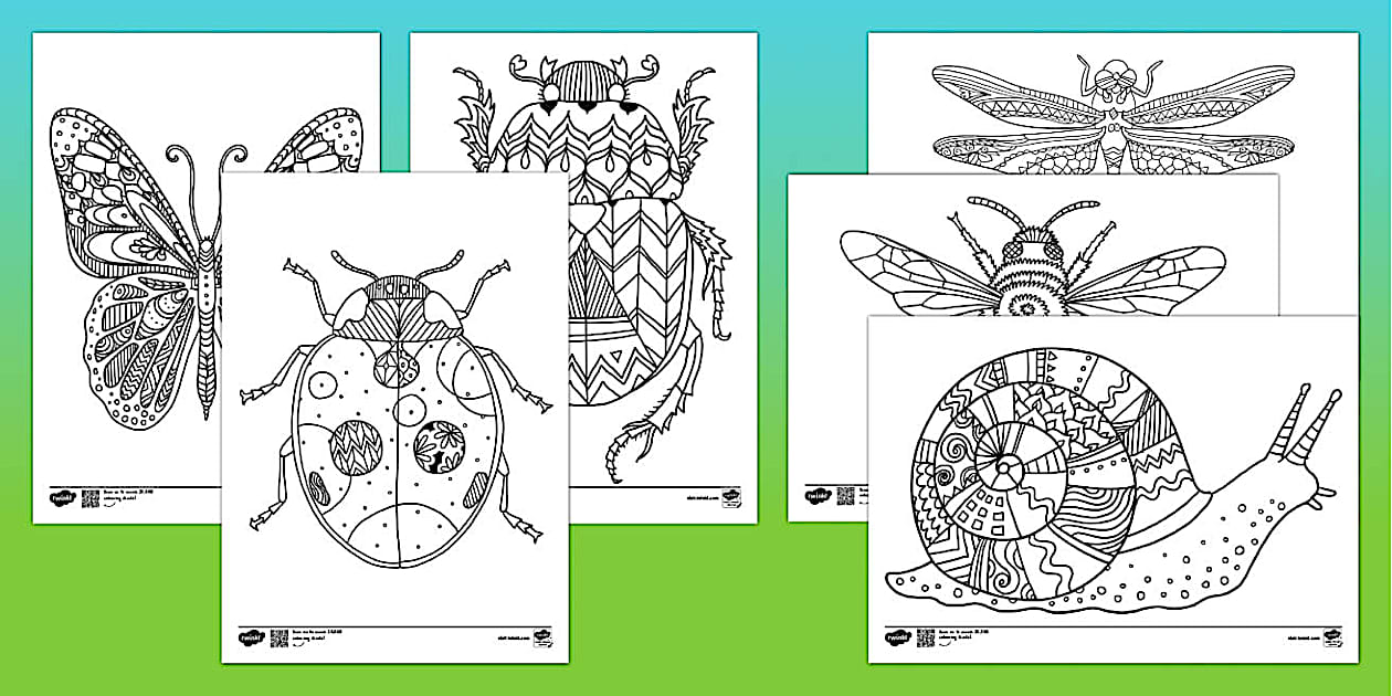 👉 Minibeast Mindfulness Colouring Pages (teacher made)