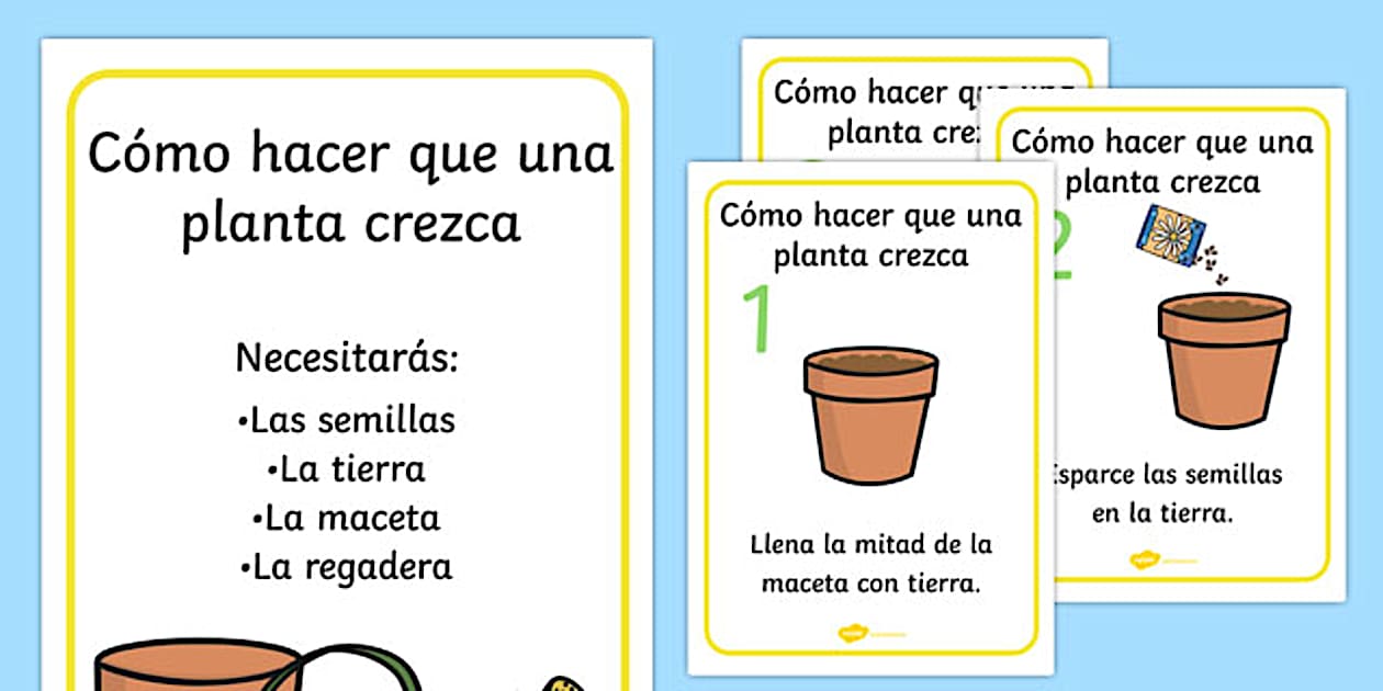 Cómo hacer que una planta crezca (teacher made) - Twinkl