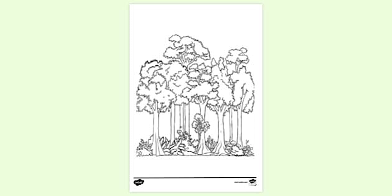 Rainforest Colouring Page | Colouring Sheets (teacher made)