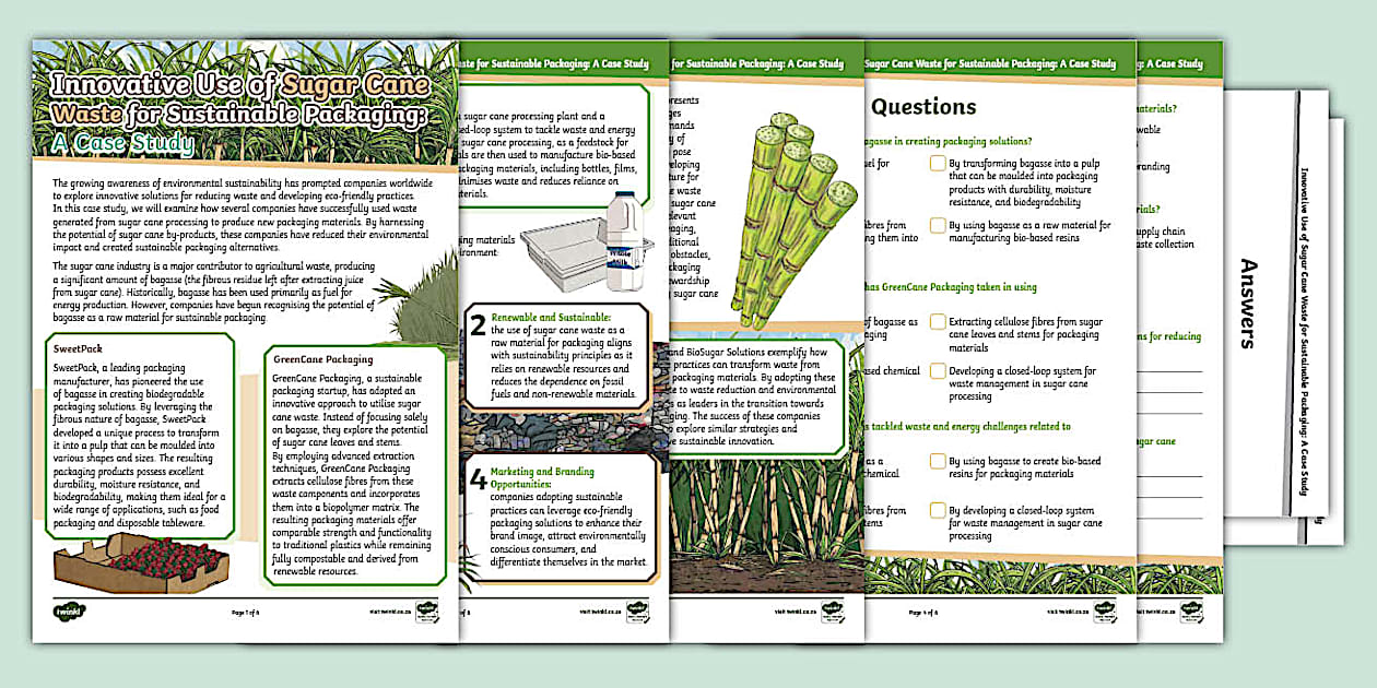 Innovative Use of Sugar Cane Waste for Sustainable Packaging