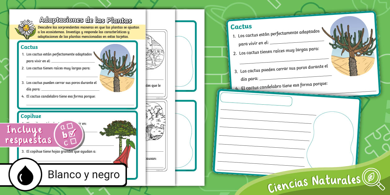Tarjetas | Desafío | Adaptación | Plantas | Chilenas