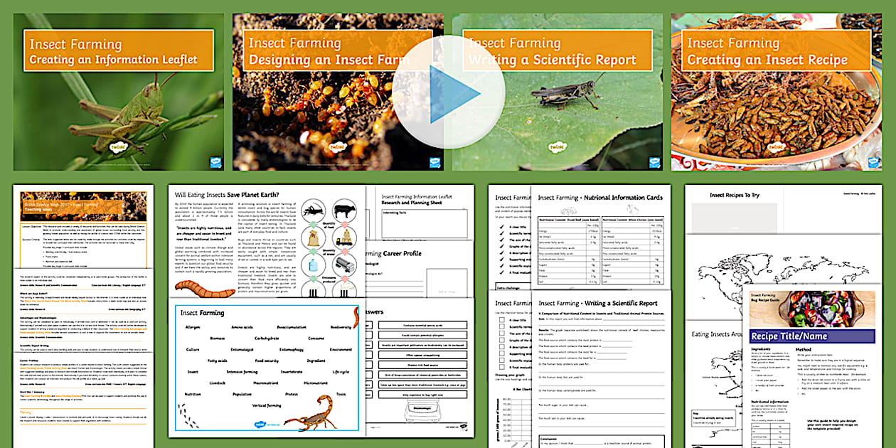 Insect Farming Resource Pack (teacher made) - Twinkl