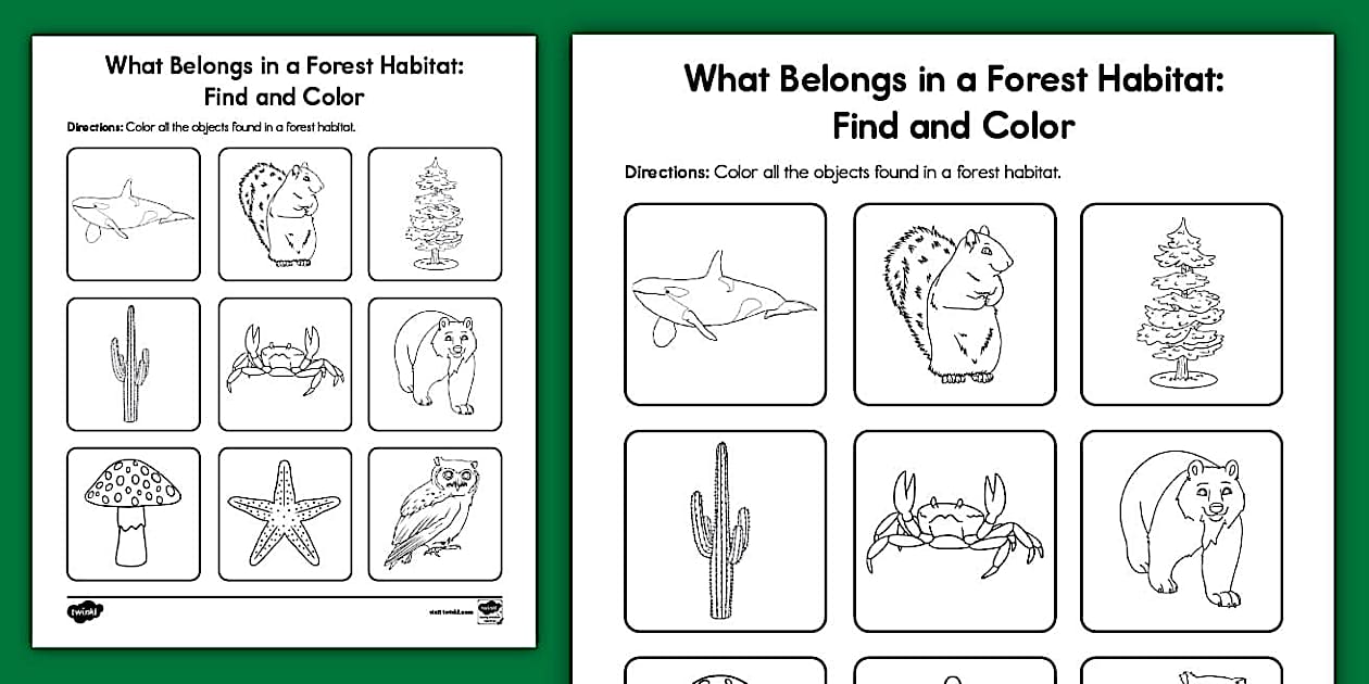 What Belongs in a Forest Habitat: Find and Color Worksheet