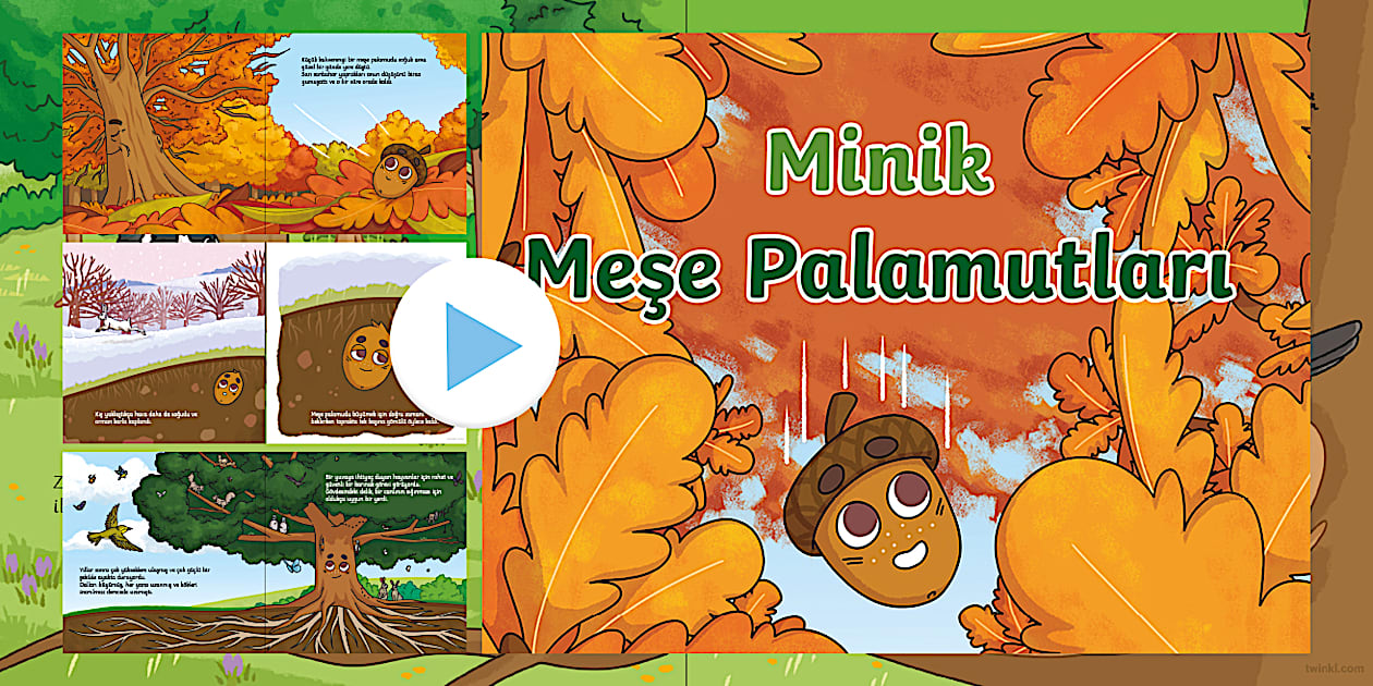 Minik Meşe Palamutları | PowerPoint (teacher made)