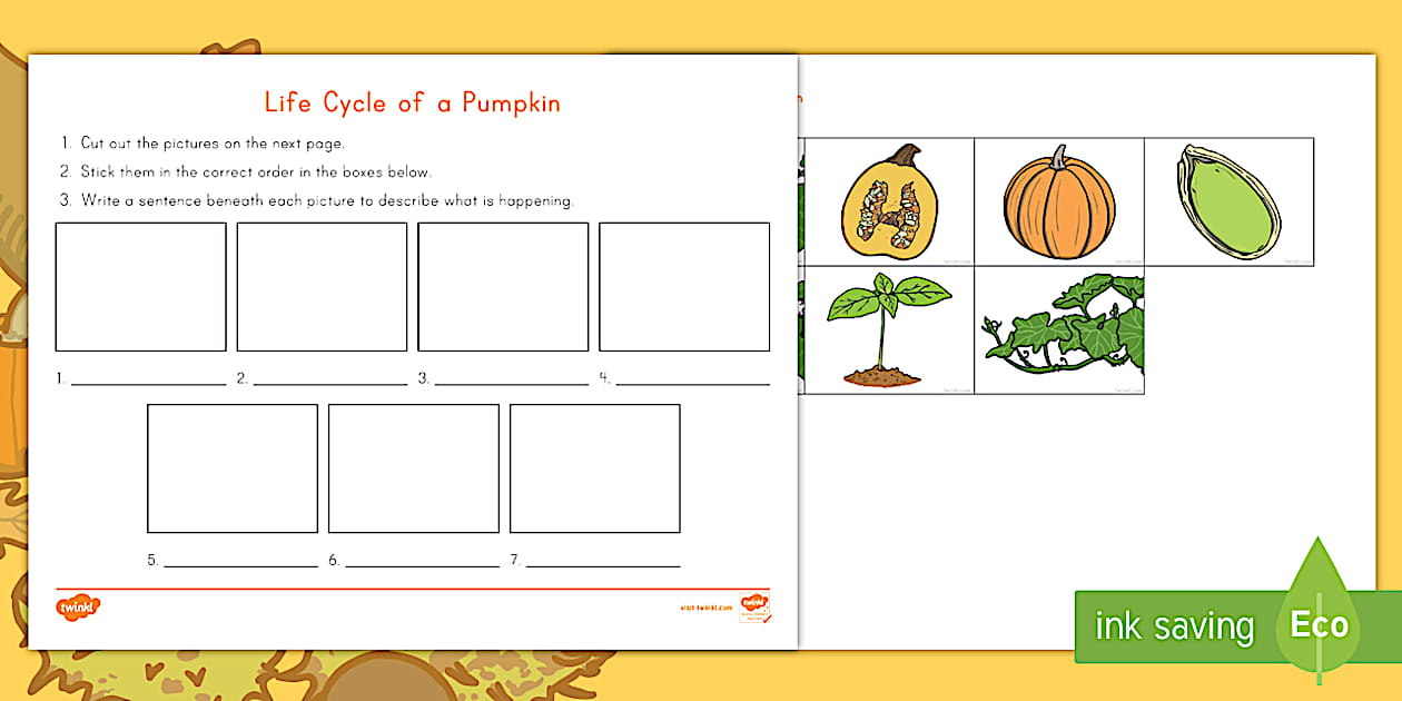 Life Cycle of a Pumpkin Writing Worksheet (Teacher-Made)