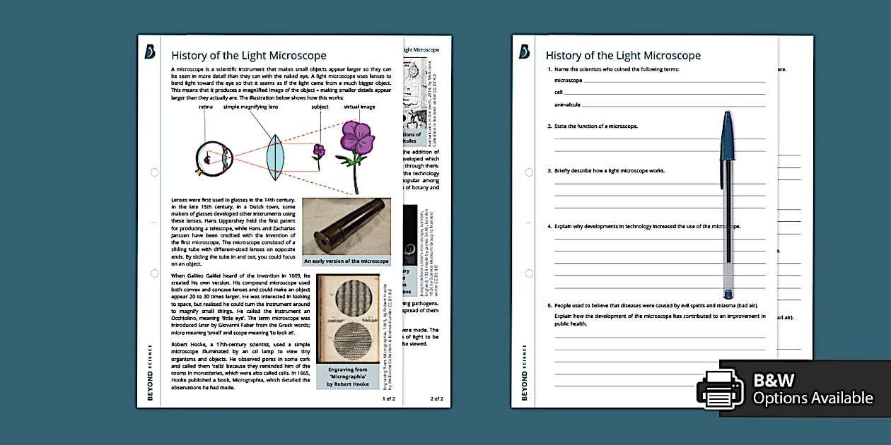 History of the Microscope Reading Comprehension | Beyond
