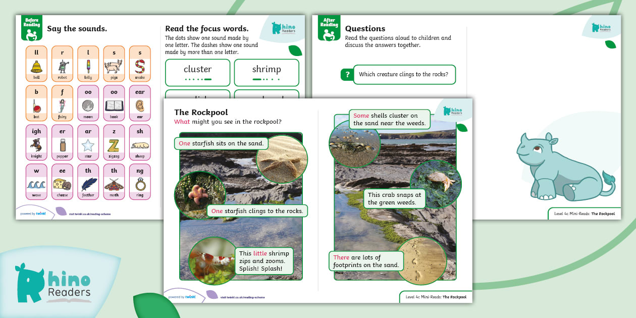 Rhino Readers Intervention: The Rockpool (Level 4c) - Twinkl
